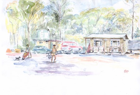 Water Colour Paintings of Cockscomb