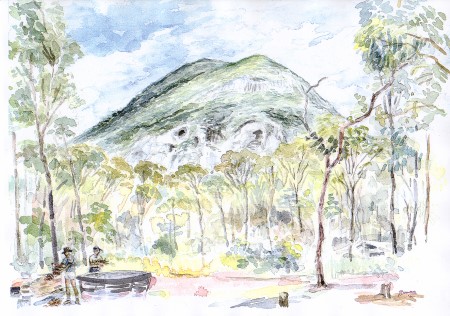Water Colour Paintings of Cockscomb