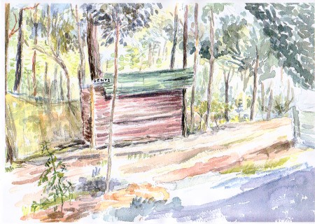 Water Colour Paintings of Cockscomb