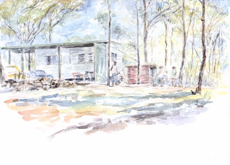 Water Colour Paintings of Cockscomb