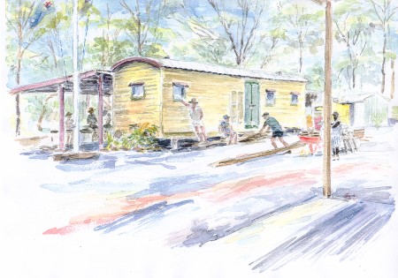 Water Colour Paintings of Cockscomb