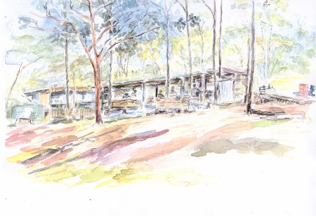 Water Colour Paintings of Cockscomb