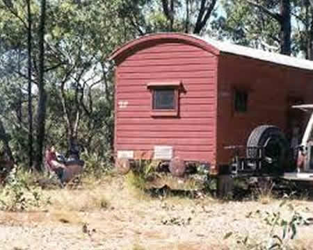 History of Cockscombs from the first days