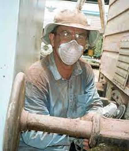 History of Cockscombs from the first days