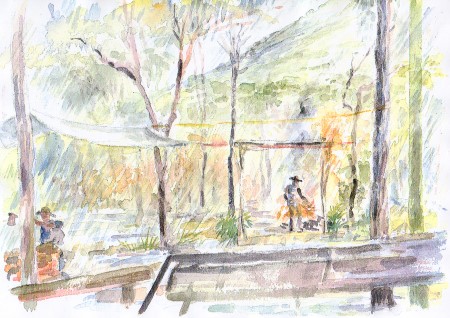 Water Colour Paintings of Cockscomb