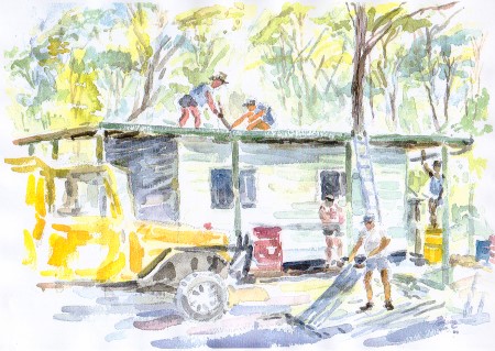 Water Colour Paintings of Cockscomb