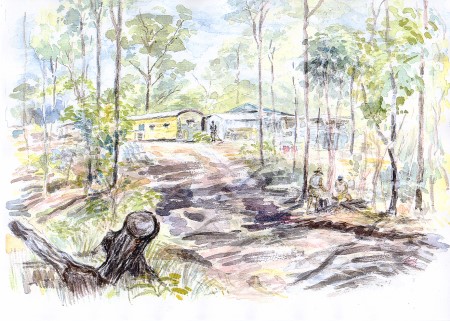 Water Colour Paintings of Cockscomb