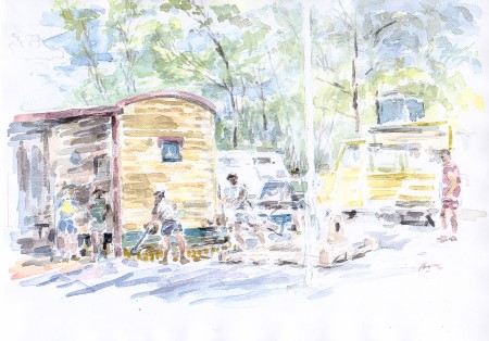 Water Colour Paintings of Cockscomb