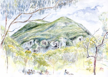 Water Colour Paintings of Cockscomb