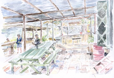 Water Colour Paintings of Cockscomb