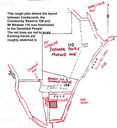 History of Cockscombs from the first days